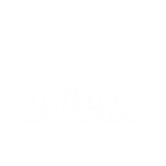 Home - Orient Insurance Sri lanka